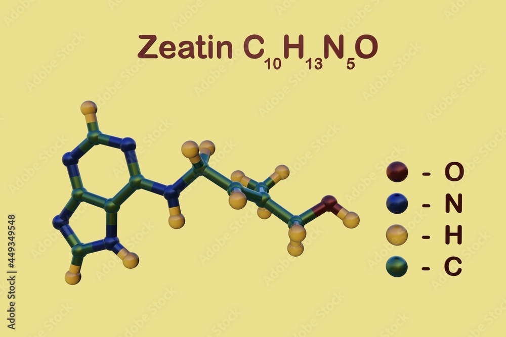 Structural chemical formula and molecular model of zeatin, a coconut ...