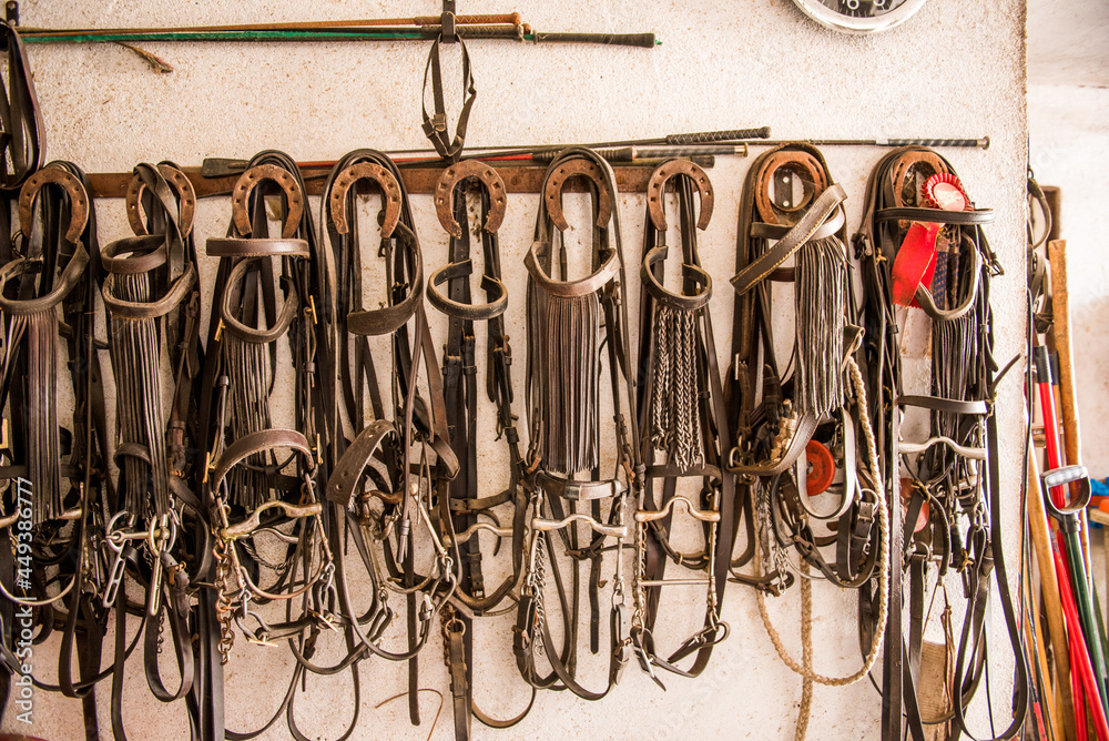 Foto de Several hung leather bridles ready to be mounted on the horses ...
