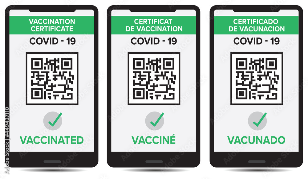 vaccine covid-19 passport card qr code design vector Stock Vector ...
