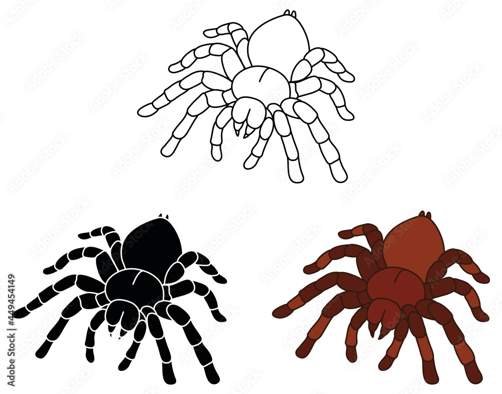 Tarantula Spider Clipart Set Stock Vector | Adobe Stock