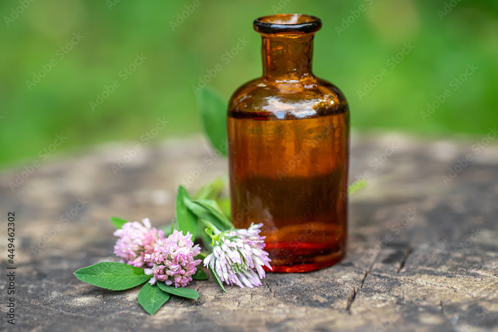 Trifolium medium, zigzag clover next to pharmacy utensils bottle for ...