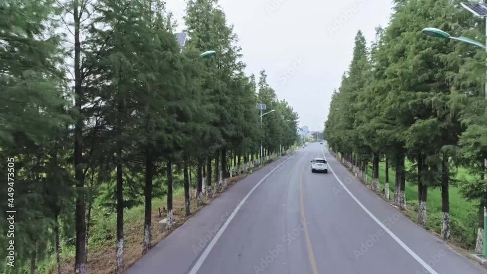 Vidéo Stock The camera moves forward over a clean concrete road ...