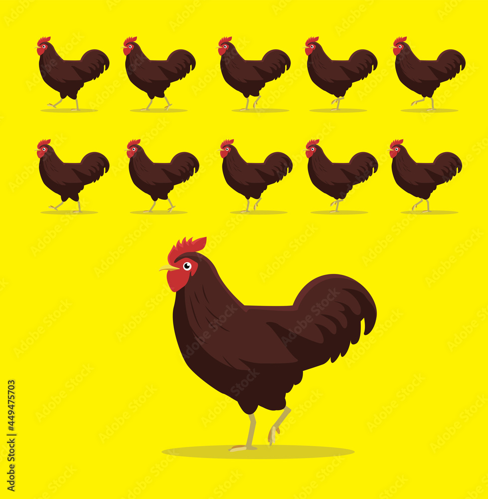 Animal Animation Sequence Rhode Island Red Chicken Cartoon Vector Stock ...