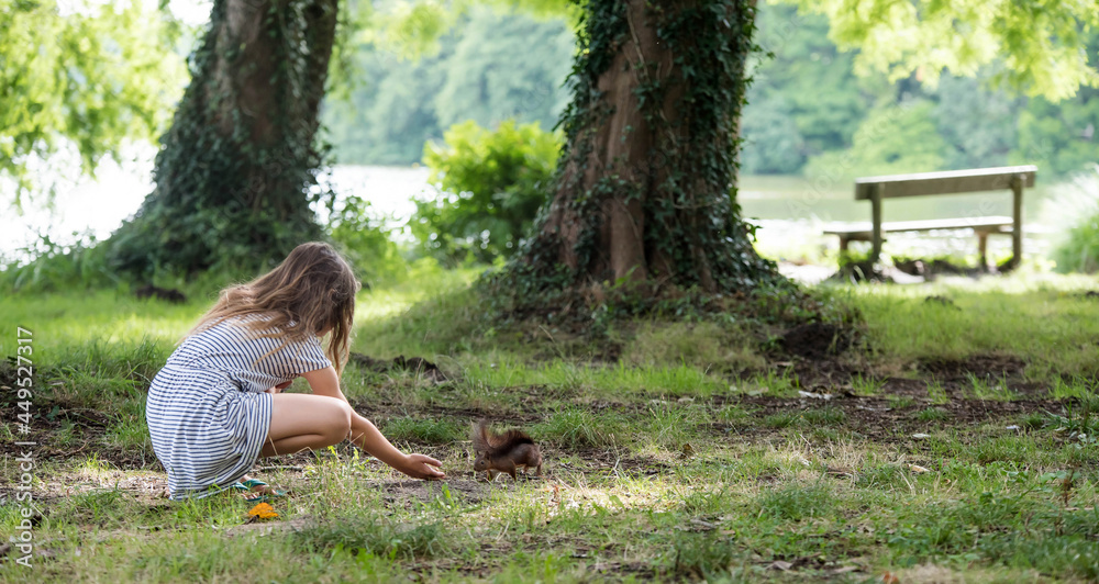 cute little girl taming a squirrel Stock Photo | Adobe Stock