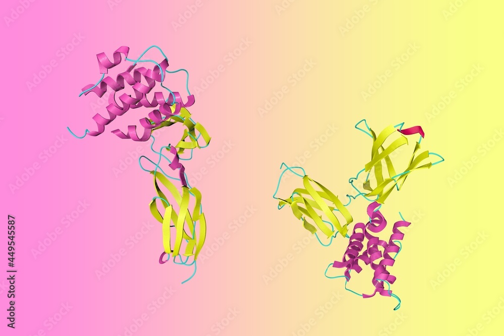 Crystal structure of the complex of human interleukin-7 with non ...