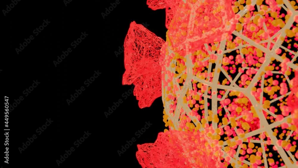 rotating 3D model of the coronavirus wireframe on a black background ...