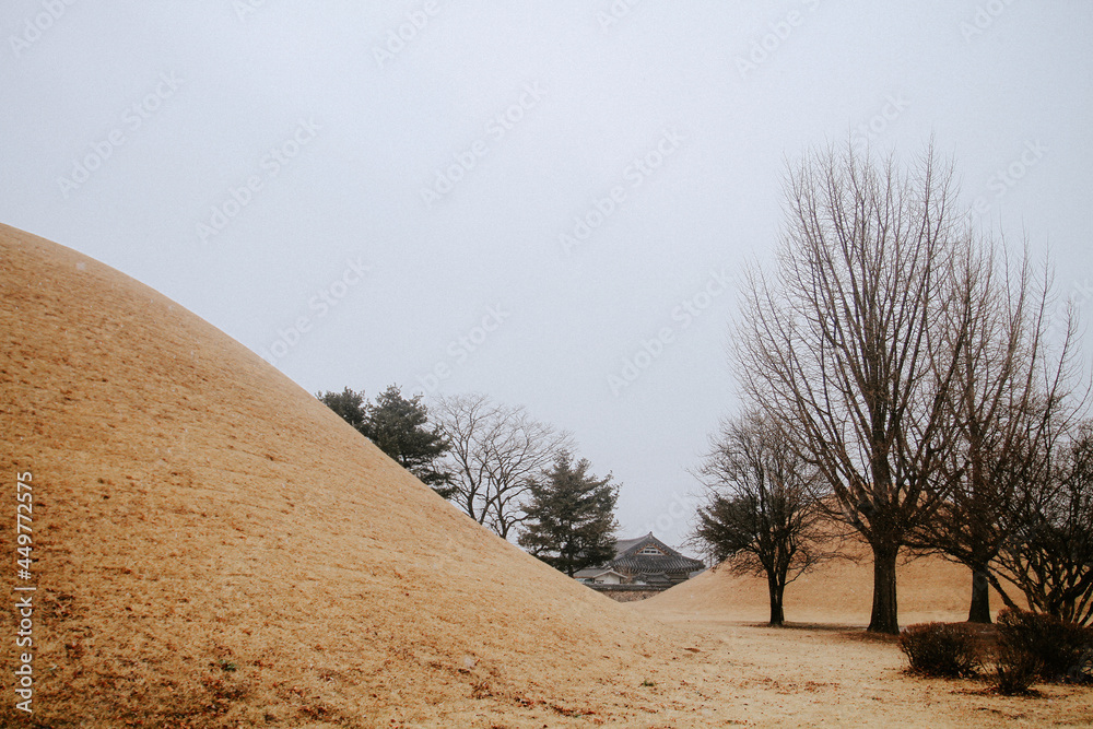Daereungwon Ancient Tombs in Gyeongju, South Korea. Daereungwon ancient ...