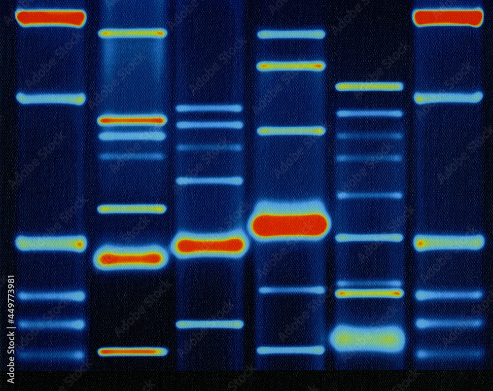 DNA configuration Stock Photo | Adobe Stock