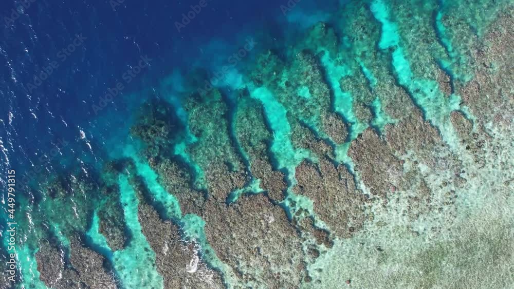 Coral reef of Utila island, Honduras. The Mesoamerican Barrier Reef ...