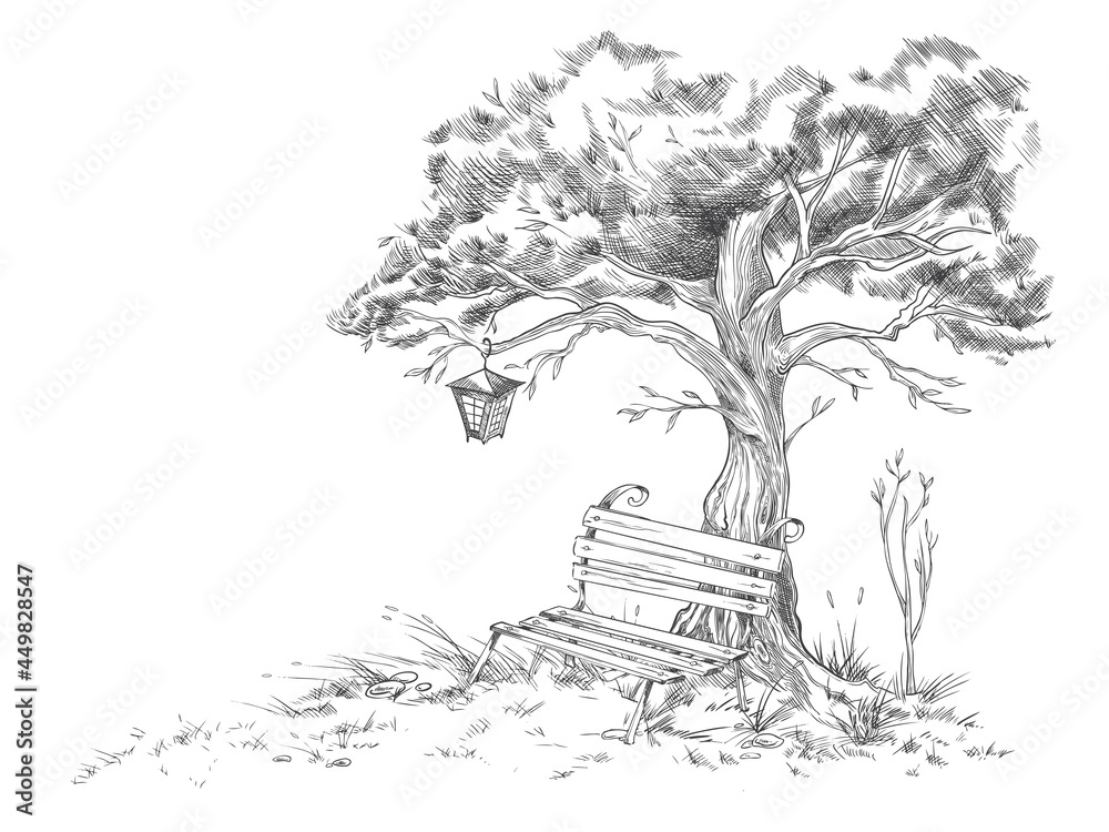 Hand drawn tree with park bench, engraving vintage vector illustration ...