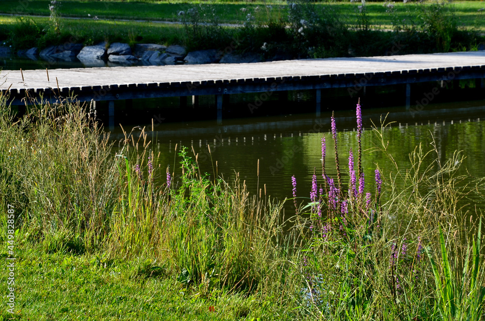 wooden wide pedestrian bridge over the river pond lake, without ...