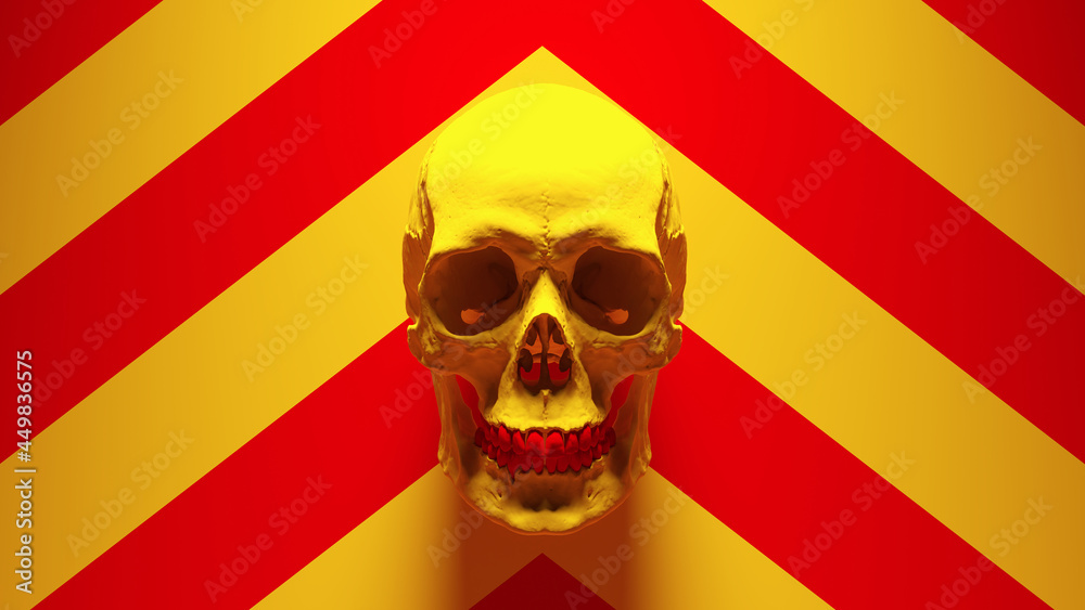 Yellow Human Female Skull Medical Anatomical with Red Teeth and Jaw ...