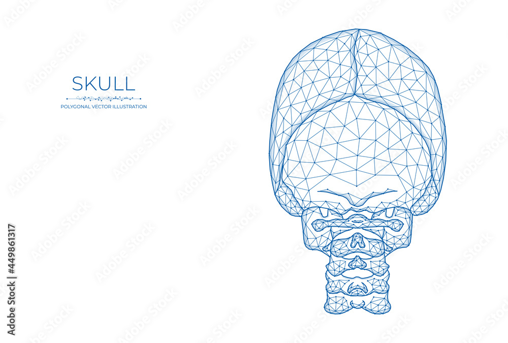Human skull low poly art. Polygonal vector illustration of a skull back ...