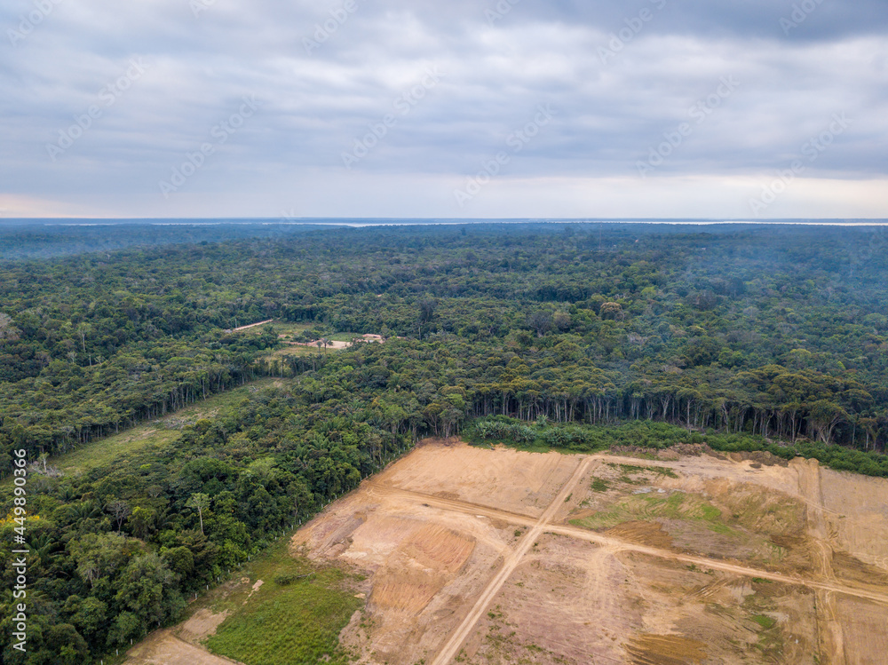 Aerial view of deforestation of Amazon rainforest. Forest trees ...