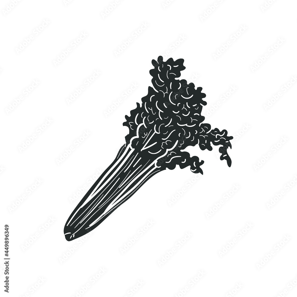 Cilantro Vegetable Icon Silhouette Illustration. Agriculture Food ...