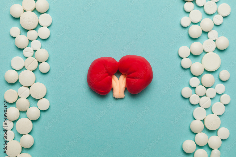 Kidneys of human on blue background. Pain in the genitourinary system ...