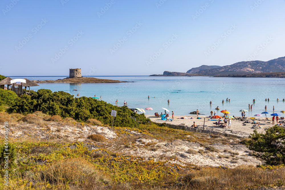 iconic beach of Stintino La Pelosa with the ancient Saracen Tower Torre ...