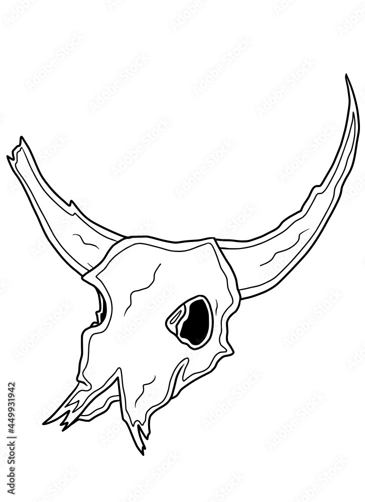Vector outline drawing of animal skull. Bull Skull on White Background ...