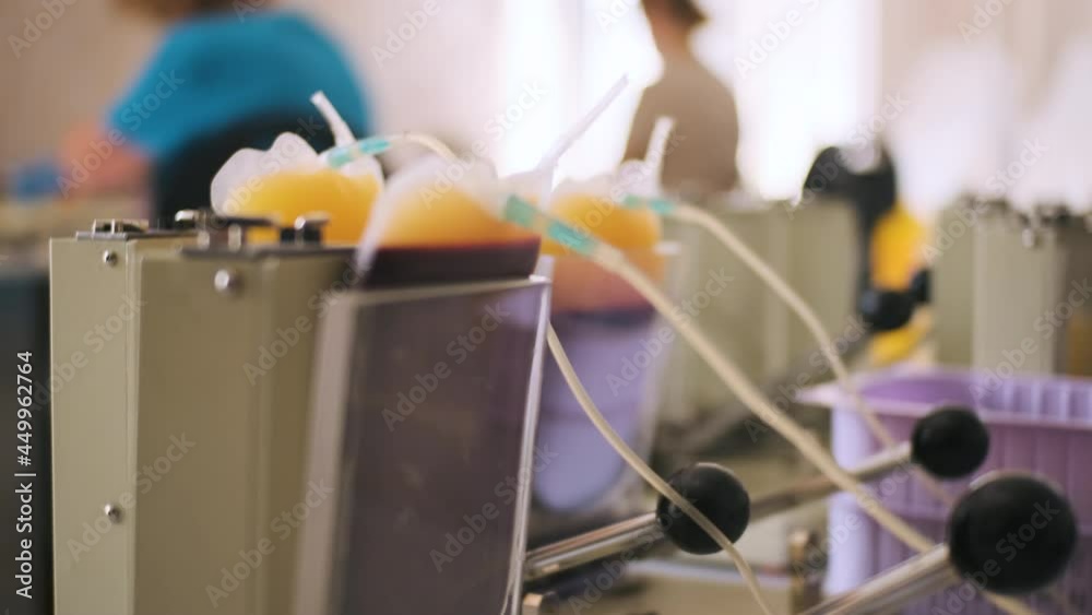 Separation of blood into plasma in plastic bag. Special medical device ...