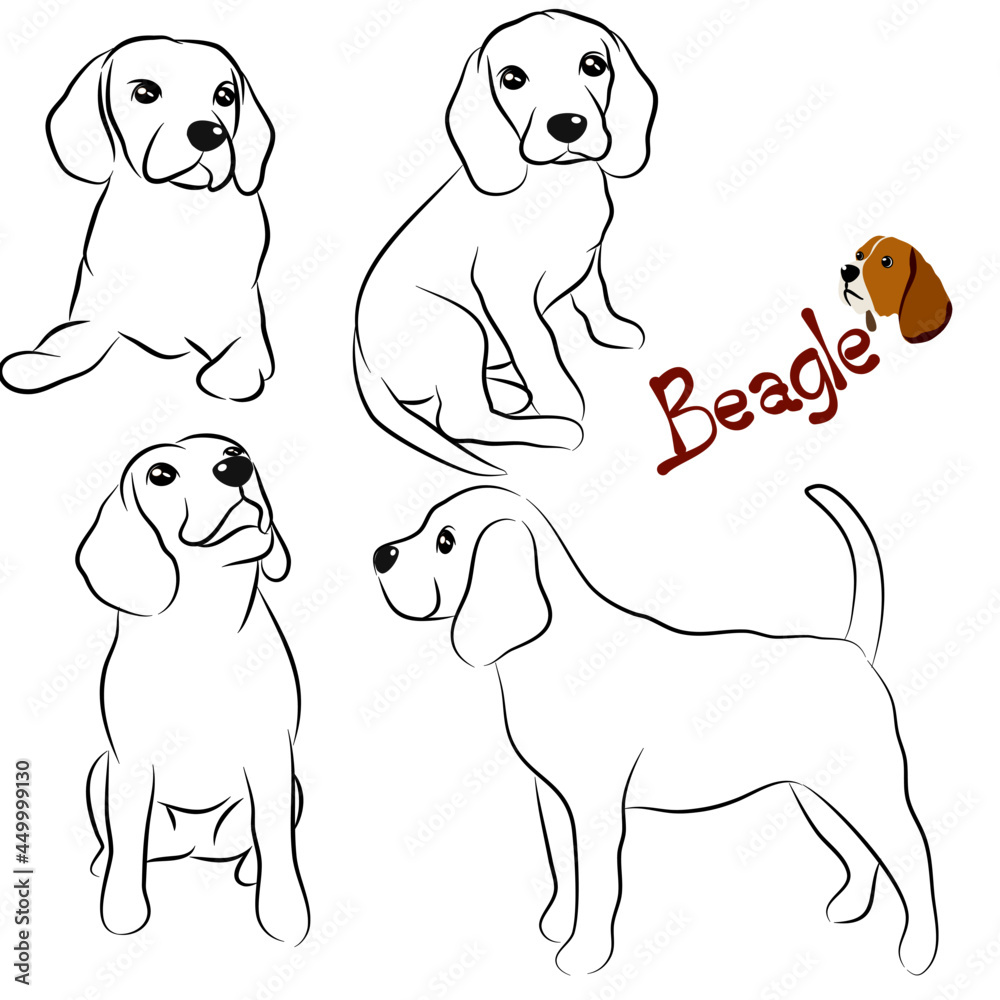 doodle style hand drawn, Cute cool beagle puppy set. Collection of flat ...