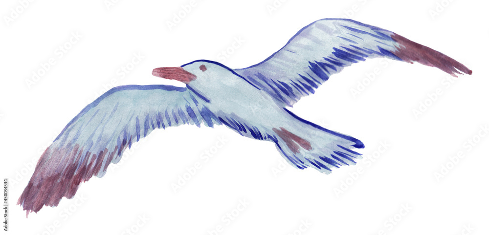 Watercolor drawing of a flying seagull. Hand-drawn blue sea bird ...