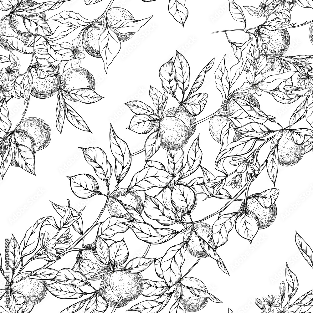 Orange Tree Branch Drawing