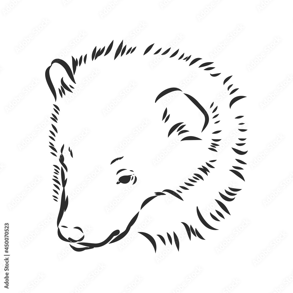 vector hand sketch drawing illustration of a wolverine done in black ...