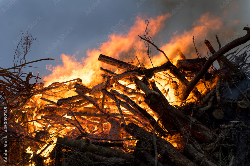 Midsummer traditional bonfire on tiny island Abruka in Baltic Sea ...