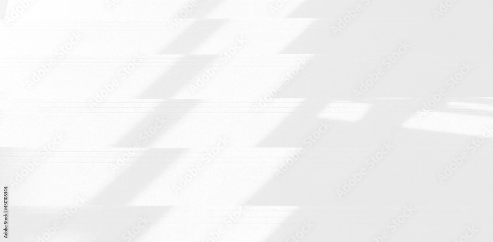 Abstract Shadow. blur background. gray leaves that reflect concrete ...