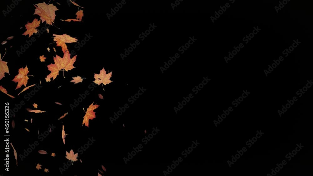 Autumn leaves falling animation with Alpha Channel. This animation is ...