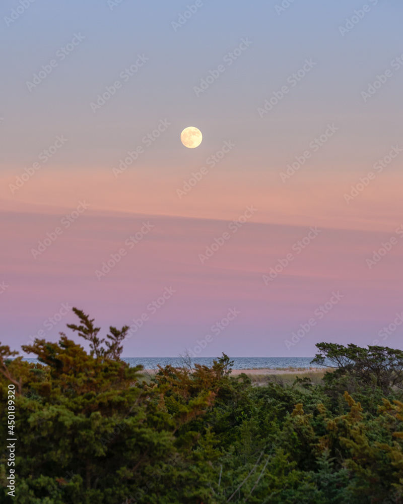 Full moon rising through the Belt of Venus over an overgrown beach ...