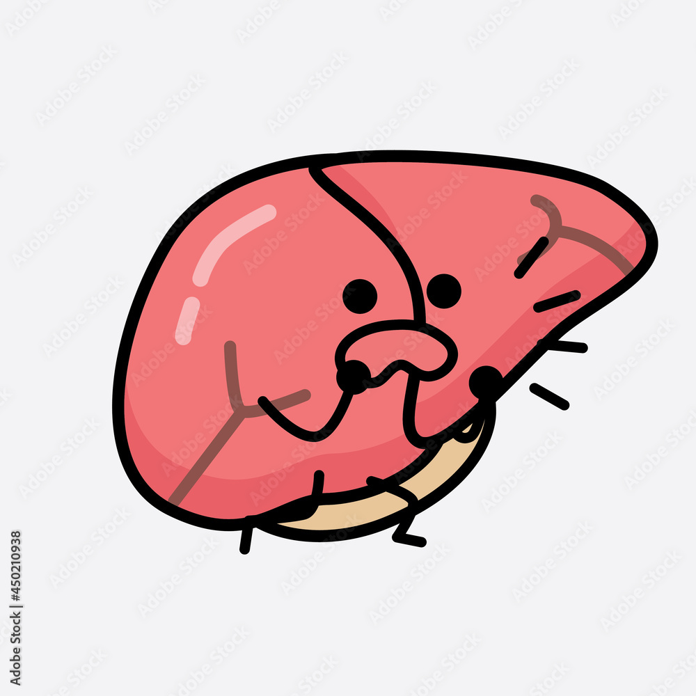 Vector Illustration of Liver Character with cute face and simple body ...