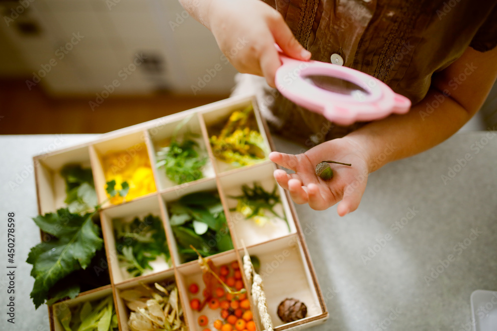 Cute child toddler exploring plants with a magnifying glass, natural ...