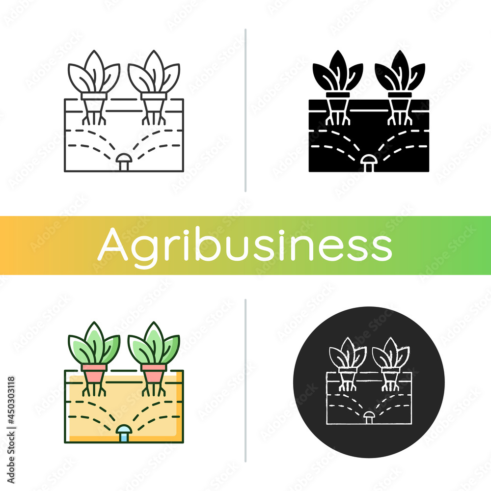 Aeroponics icon. Grow plants with air, water and nutrients. Soilless ...