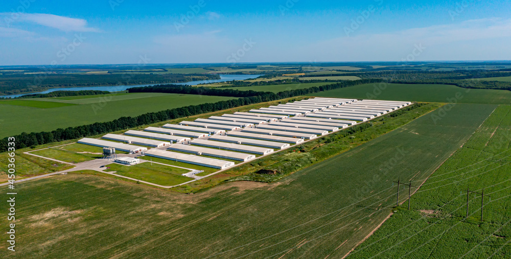 Poultry farm buildings. Aerial view of modern poultry facility in rural ...