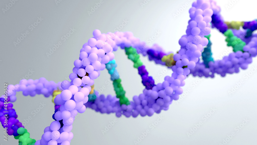 DNA composed of two chains that form a double helix. DNA is a molecule ...