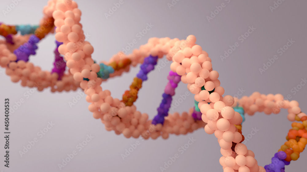 DNA composed of two chains that form a double helix. DNA is a molecule ...