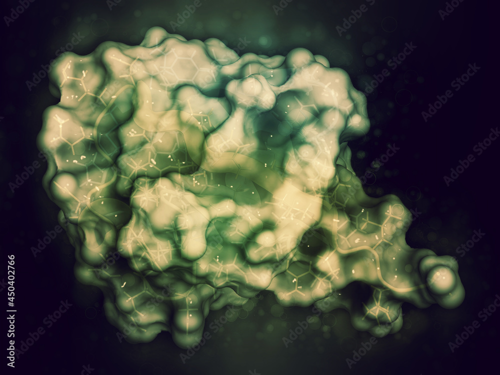 Ubiquitin protein molecule, 3D rendering. Stock Illustration | Adobe Stock