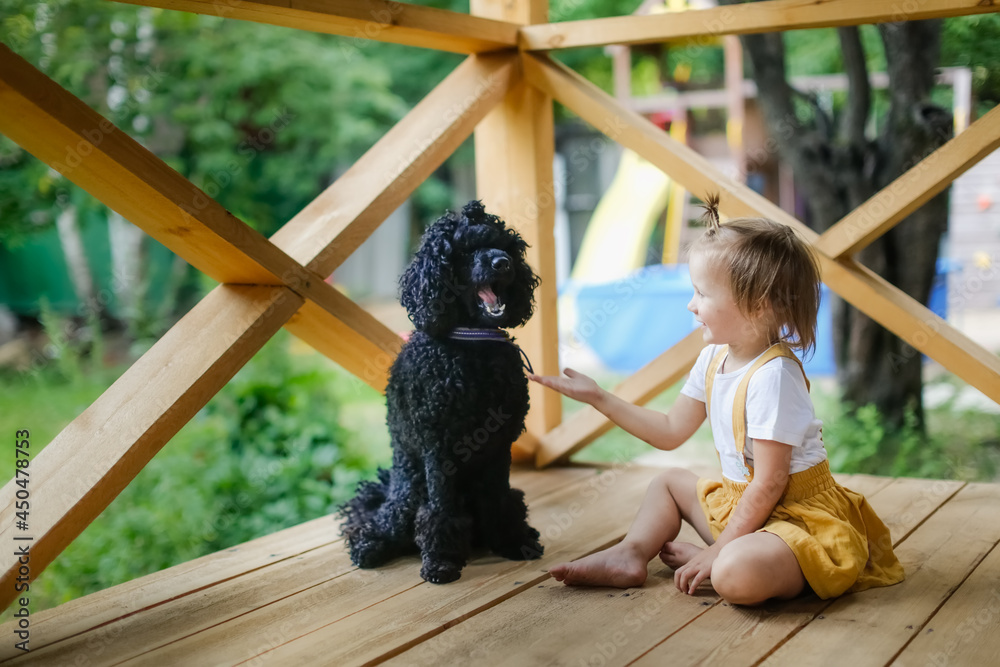 Girl child toddler and black poodle play together on the backyard ...