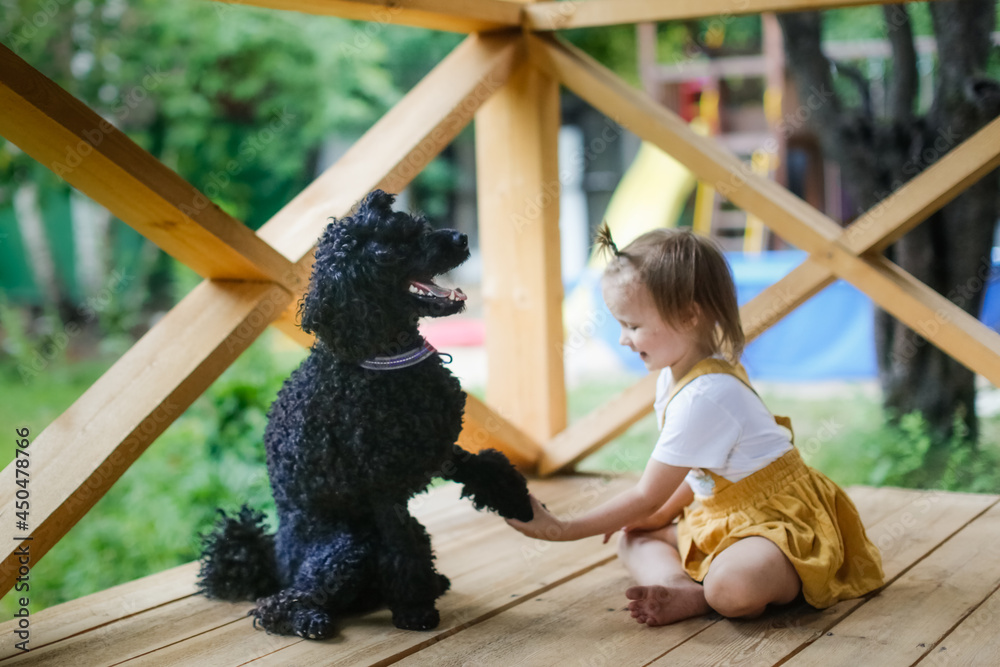 Girl child toddler and black poodle play together on the backyard ...