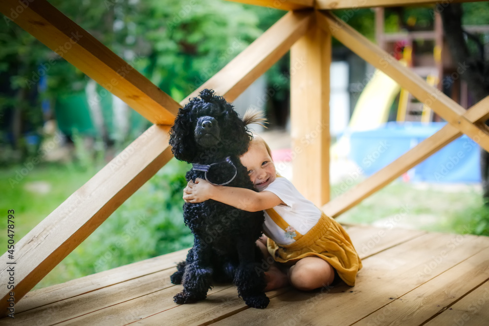 Girl child toddler and black poodle play together on the backyard ...