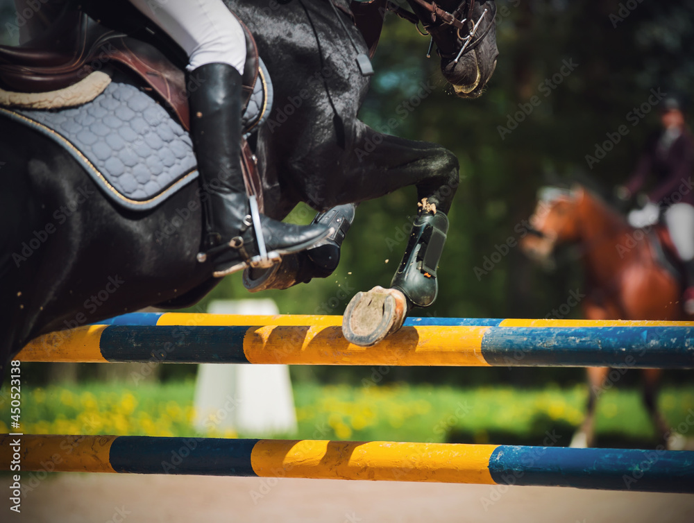 Black Horse Jumping High