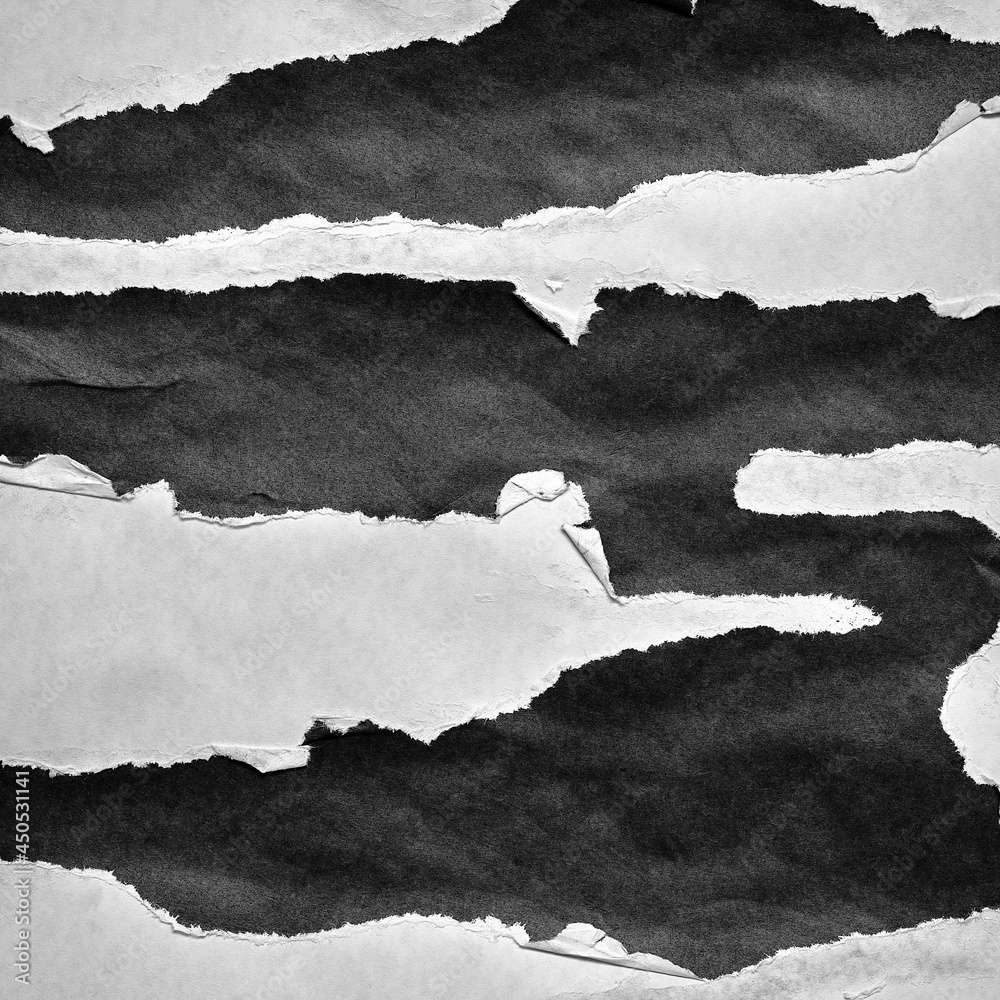Black and White Torn Paper Collage Style, Ripped Paper Effect, Texture ...