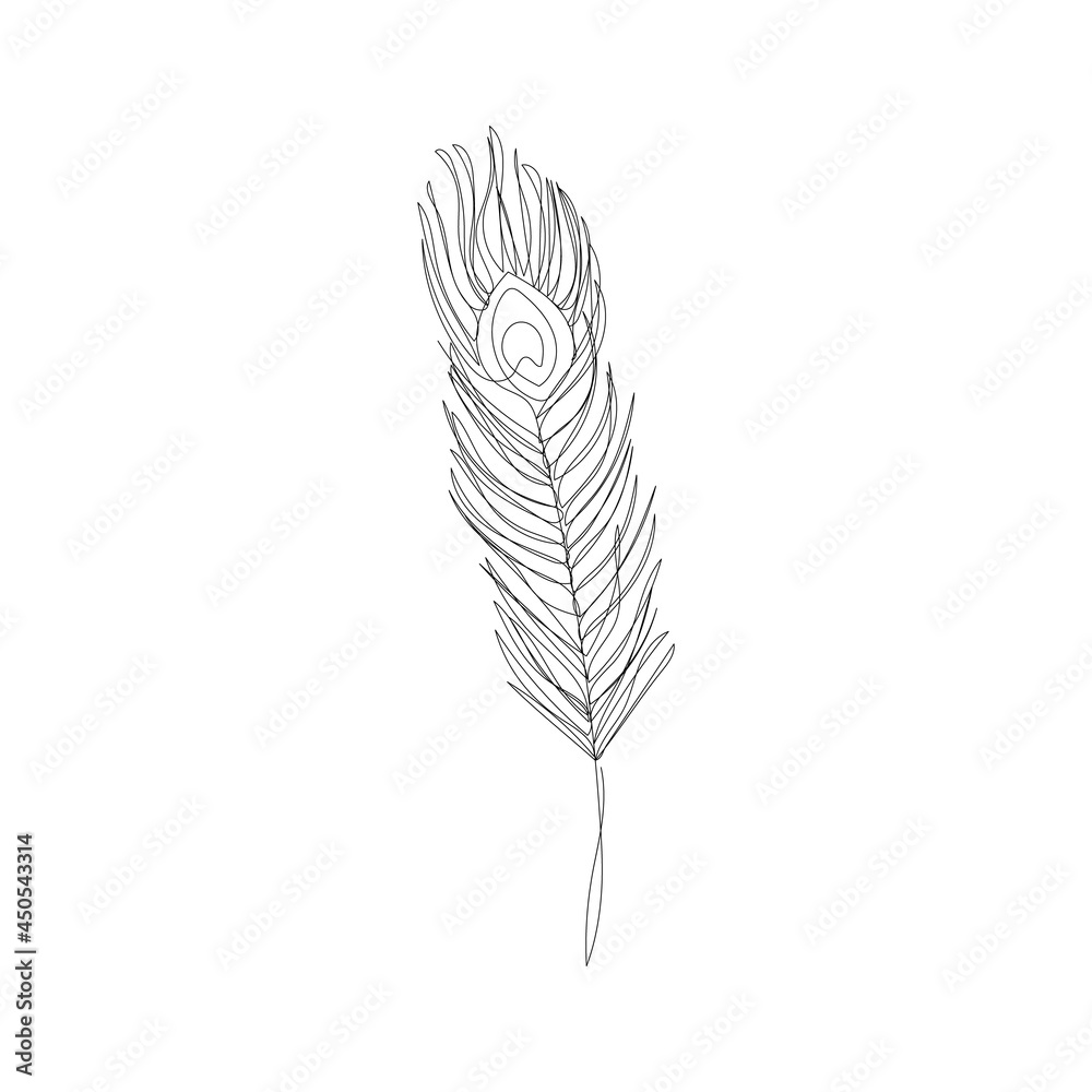 Beautiful peacock feather in continuous one line drawing. Minimalistic ...