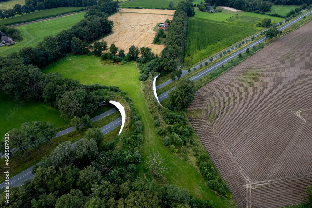 Wildlife crossing forming a safe natural corridor bridge for animals to ...