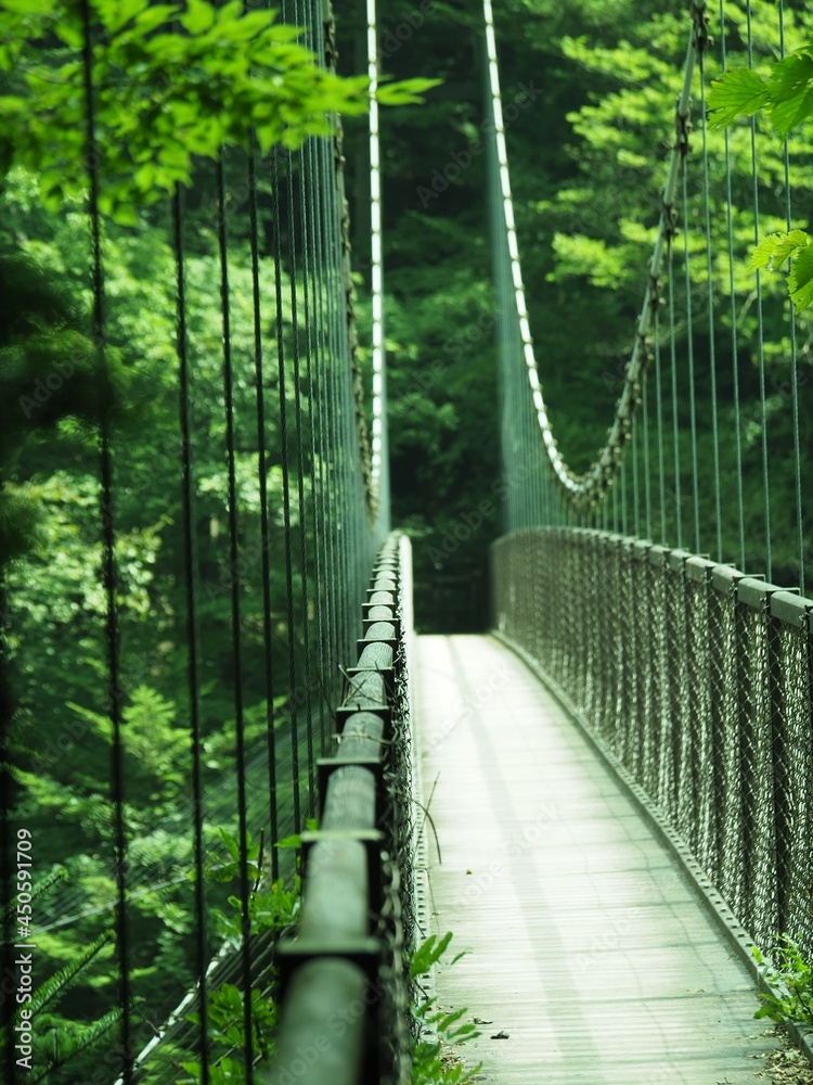 "Retrospective" suspension bridges and waterfalls Stock Photo | Adobe Stock