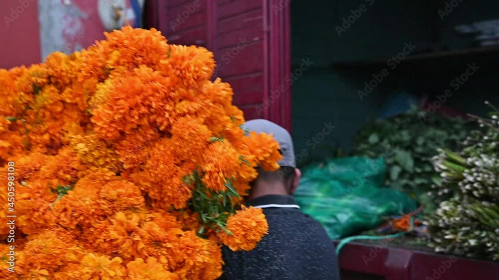 Marigold flower using during mexican day of death called in spanish ...