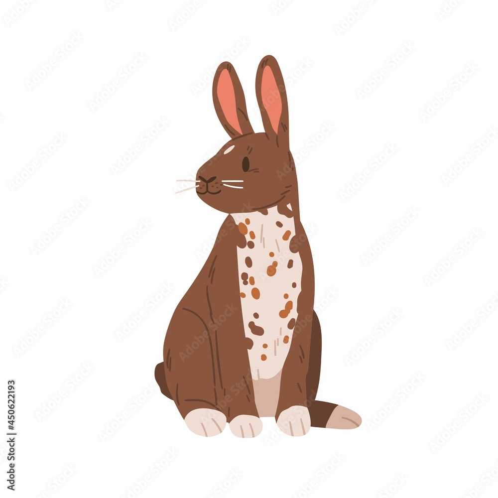 Cute rabbit of English spot breed. Spotty bunny sitting. Portrait of ...