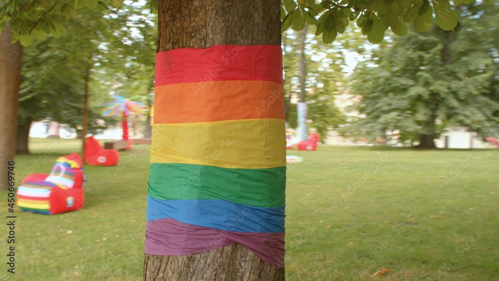 LGBT flag is made of fabric knitted on a tree trunk. Show publicly the ...