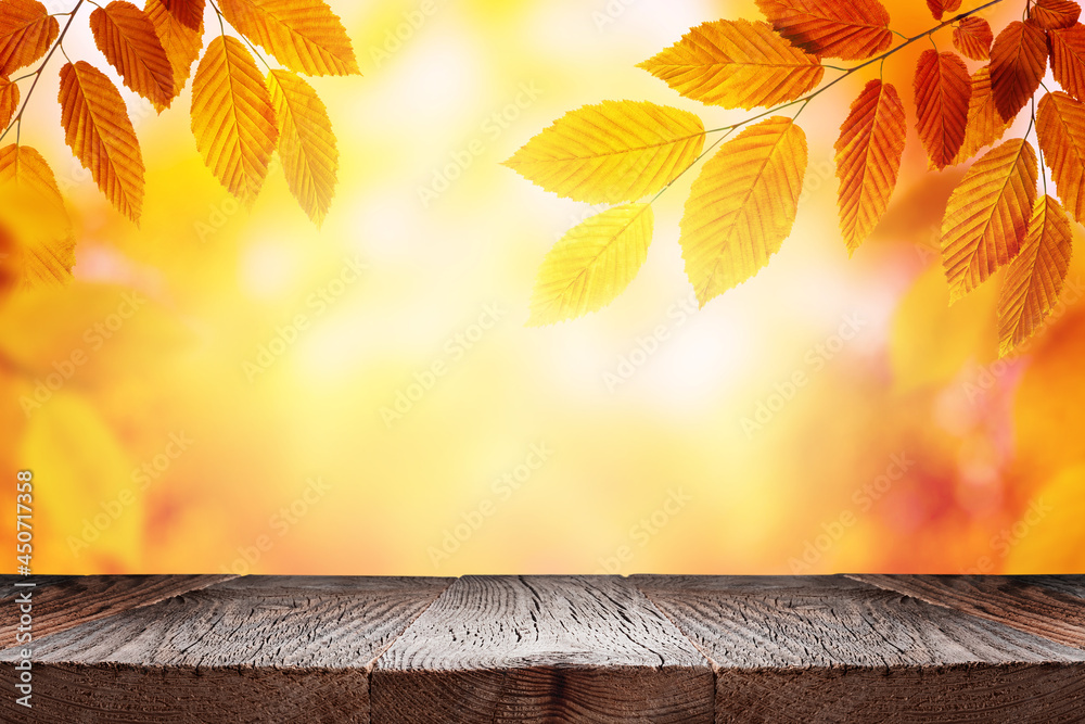 Empty wooden table and orange autumn leaves over blurred nature ...